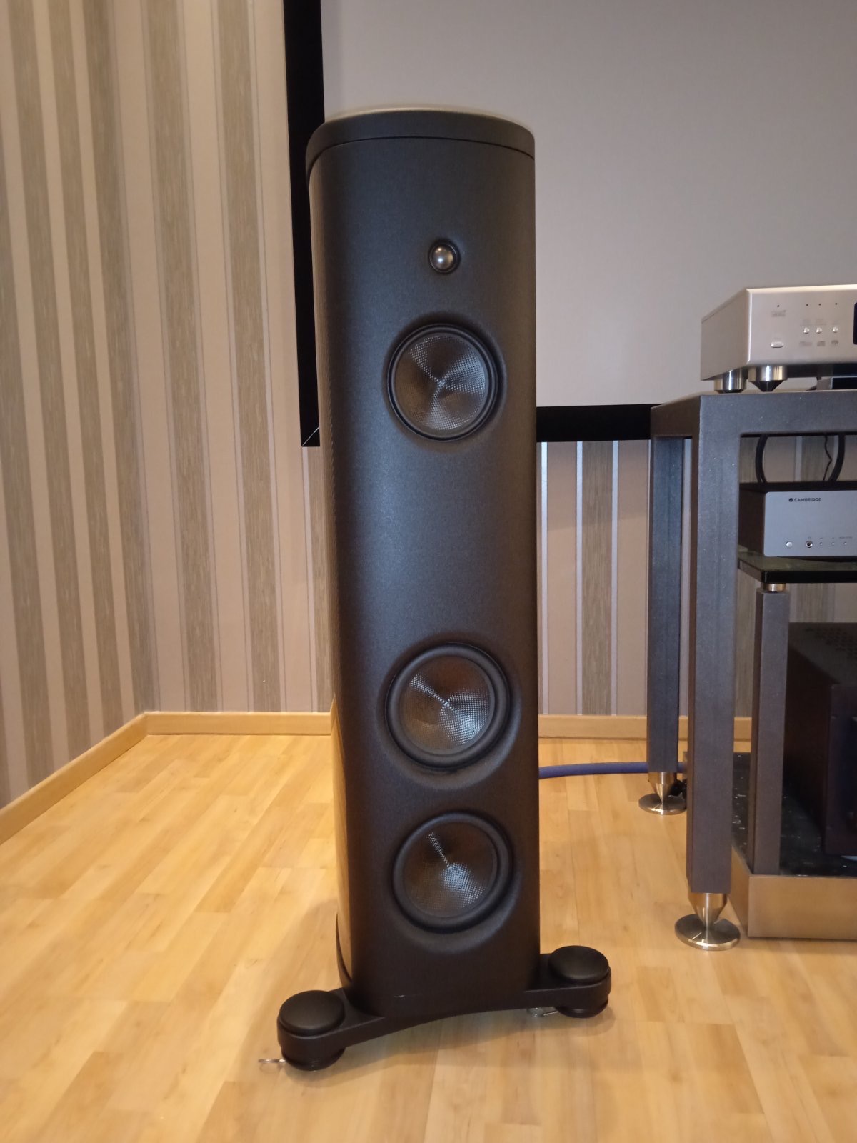 For sale | Magico M2 Speakers